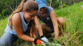 Volunteer | Community Service Programs | Westcoast Connection